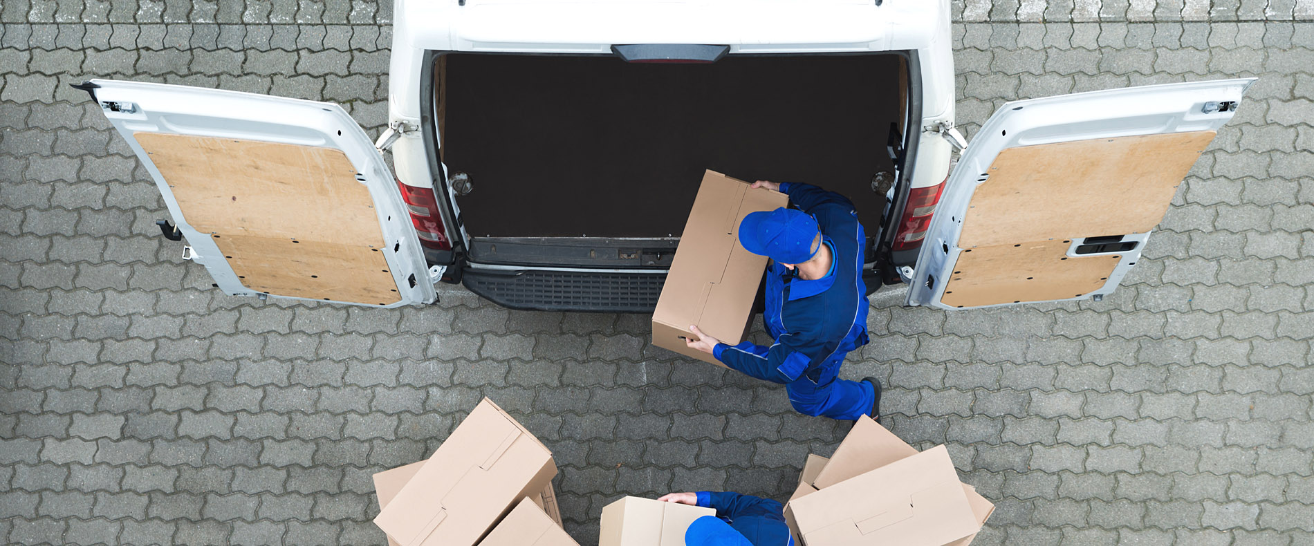 Zai Cargo - Zai Cargo